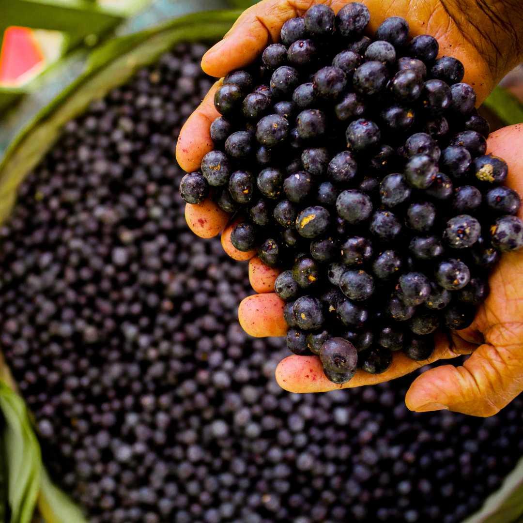 What is Acai good for? – Smoof | Acai Singapore